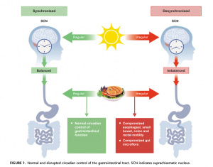 El Complejo Motor Migratorio: La clave para desbloquear misterios ...